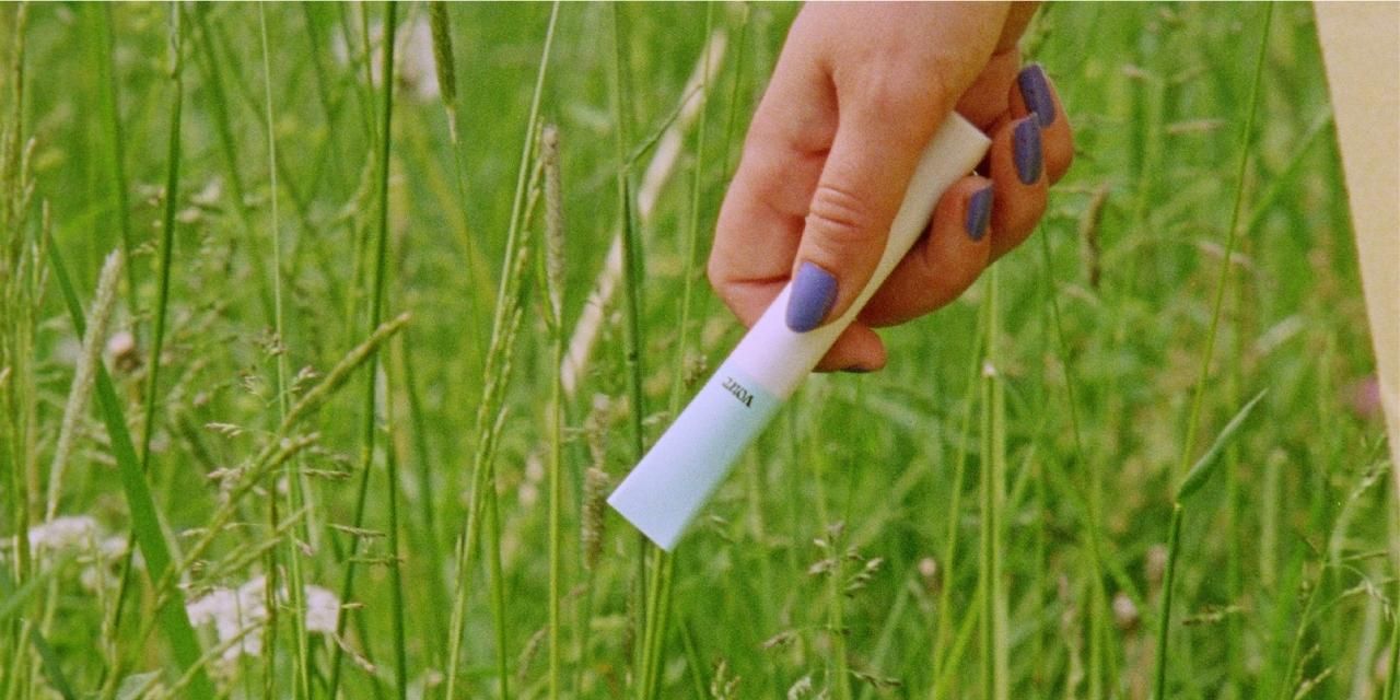 Best Disposable Vapes: A Guide (UK Edition) | Vont